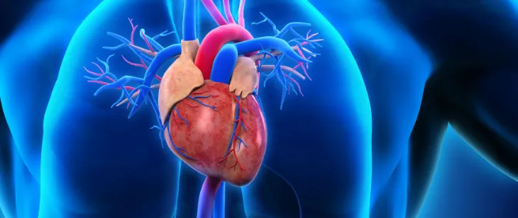 Basic Cardiac Assessments: Physical Examination, Electrocardiography ...